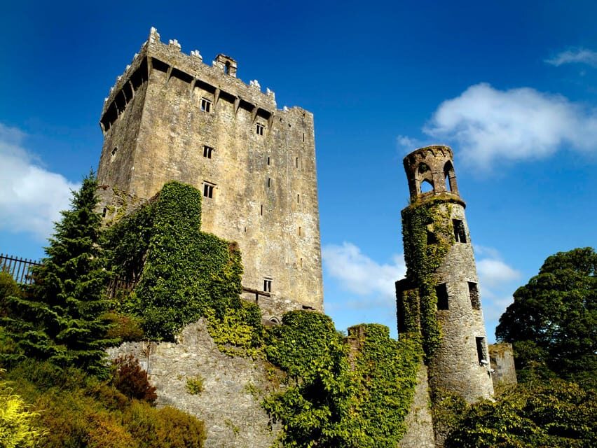 Private Tour from Dublin to Blarney Castle & Rock of Cashel - What Makes This Tour Stand Out?