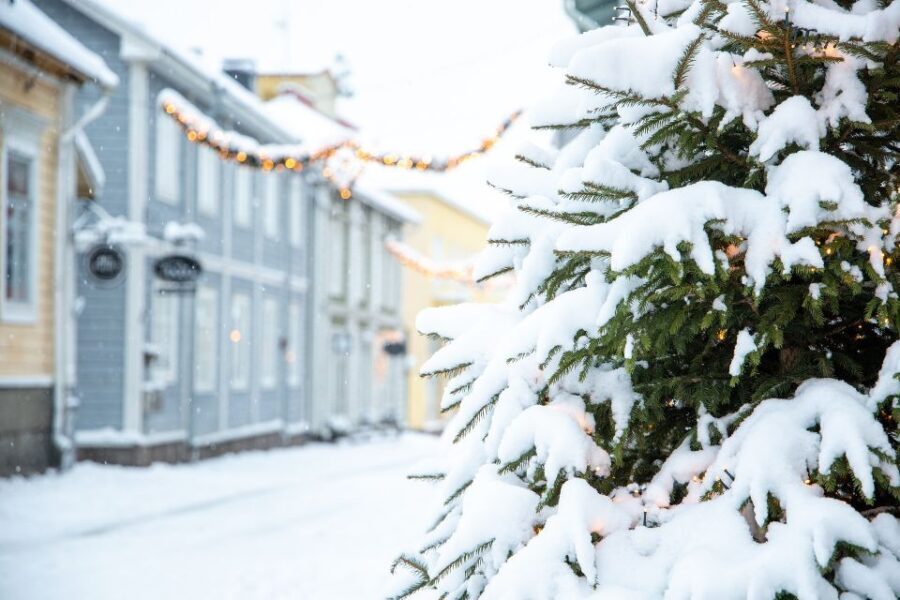 Private tour from Helsinki: All highlights & Medieval Porvoo - A Luxurious Day in Helsinki and Porvoo