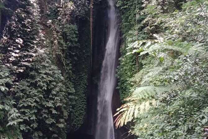 Private Tour from Leke-Leke Waterfall to Jatiluwih Rice Terrace - Transportation and Practical Details