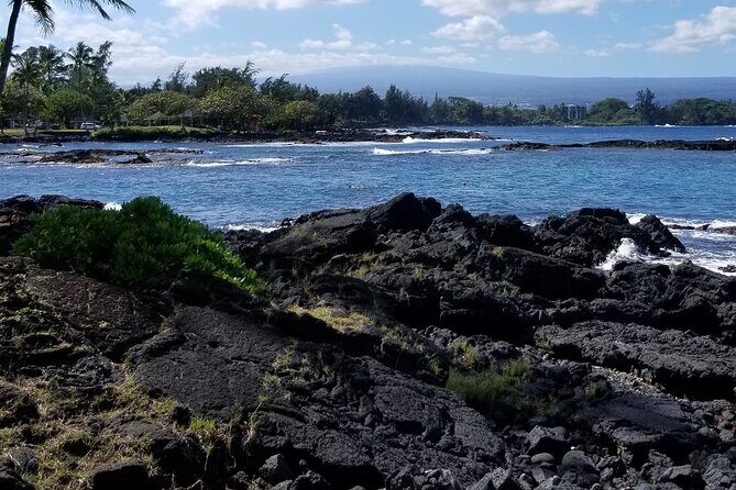 Private Tour in Hilo & Kona - What the Reviews Say