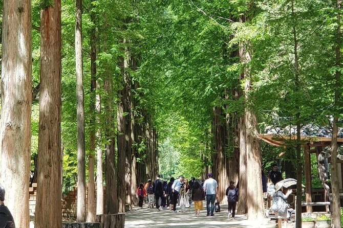 Private Tour including Nami Island with attractions in Seoul - Analyzing the Value