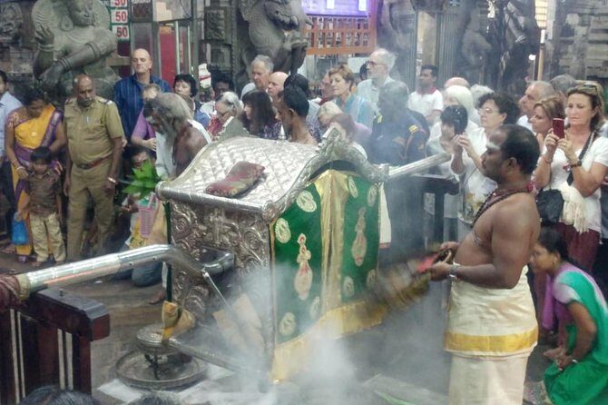 Private Tour: Madurai Meenakshi Amman Temple Night Ceremony - The Experience: What to Expect from This Night Tour