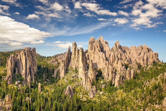 Private Tour Mt Rushmore Crazy Horse and Custer State Park - Who Should Consider This Tour?