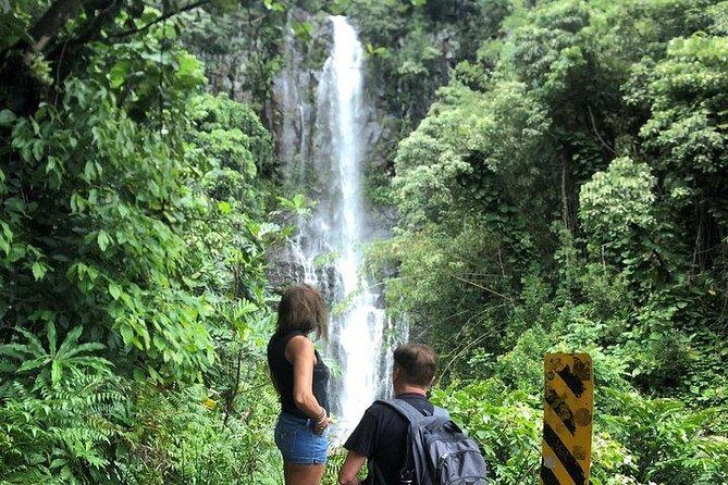 Private Tour : OAHU, MAUI, KAUAI or BIG ISLAND : Pick any Island - The Practicalities: What to Expect