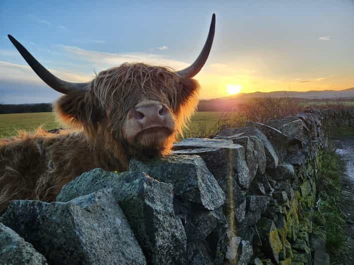 Private Tour of Highlands, Lochs & Castles from Stirling - What Makes This Tour Stand Out