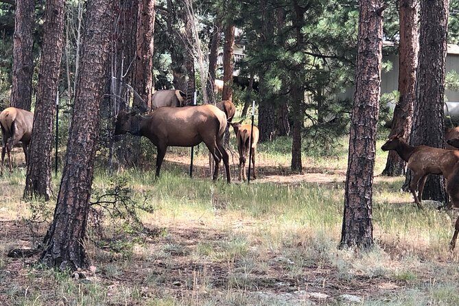 Private tour of Red Rocks, Echo Lake, Mount Evans and Idaho Springs. - Practical Details and Tips
