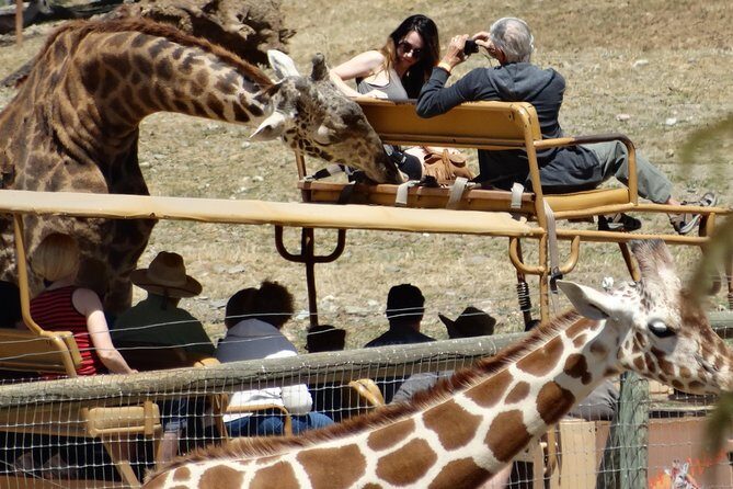 Private Tour of Sonoma Wild Safari Animal Park and Sonoma Redwoods - Value and Pricing Perspective