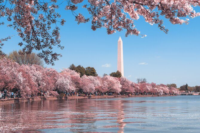 Private Tour of Washington DC - The Itinerary: What You’ll See and Experience