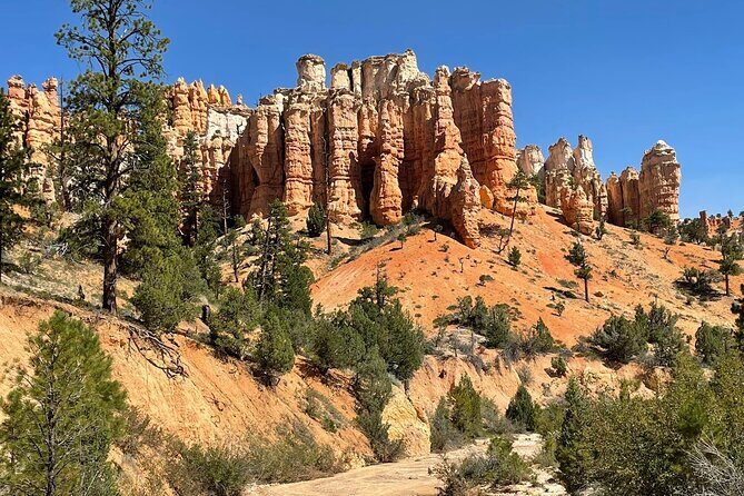 Private Tour to Zion National Park from Las Vegas - The Sum Up