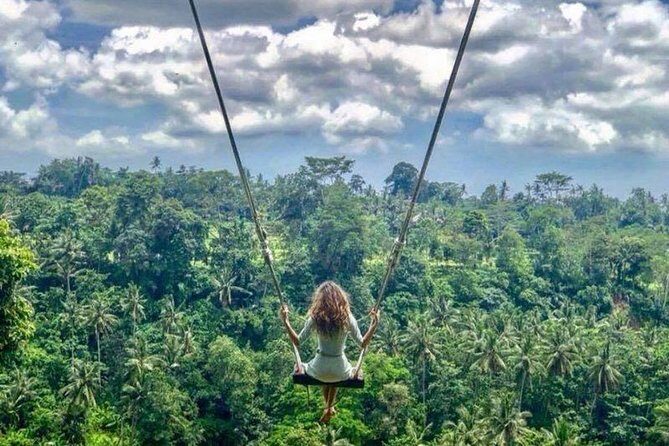 Private Tour Ubud & Jungle Swing - All Inclusive - The Practicalities: What’s Included and What’s Not
