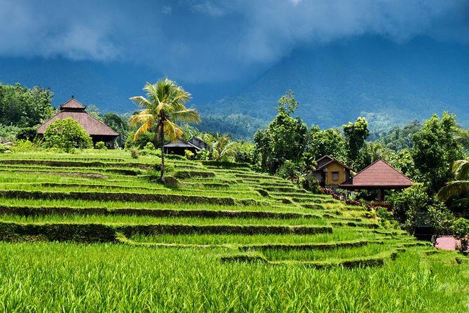 Private tour- UNESCO rice terraces, Ulundanu Beratan, Batukaru, Tanah lot temple - The Bottom Line: Who Is This Tour Best For?