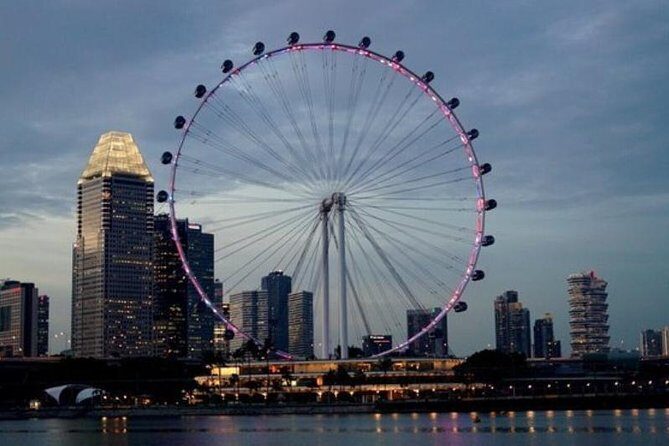 Private Tour:Singapore National Museum and Singapore Flyer and Ducktour - Who Will Love This Tour?