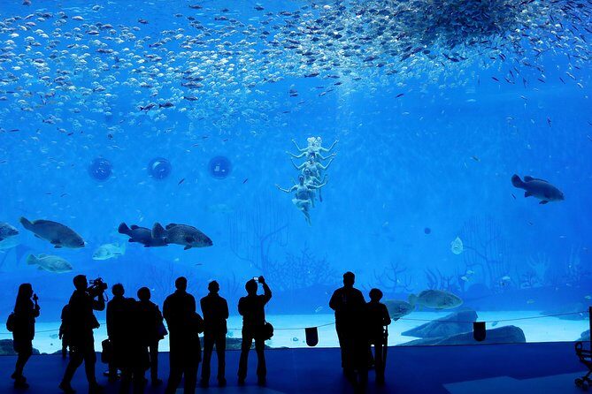 Private Transfer between Shanghai Haichang Ocean Park and City Center - What to Expect from Your Transfer