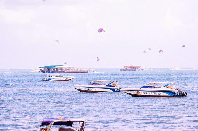 Private Transfer from Bangkok to Pattaya with 2h of Sightseeing - What to Expect on the Journey