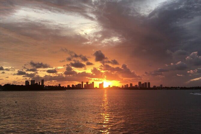 Private Transfer from Miami Airport to Hotel and Vice Versa - What to Expect from the Service