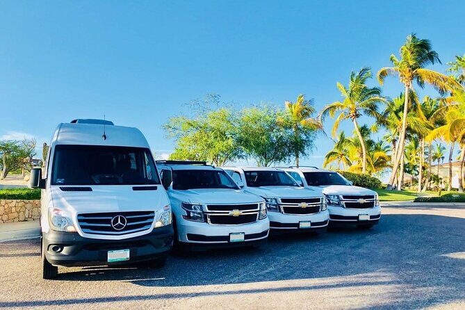 Private Transfer from Naha City Hotels to Nakagusuku Cruise Port - Vehicle Comfort and Professionalism