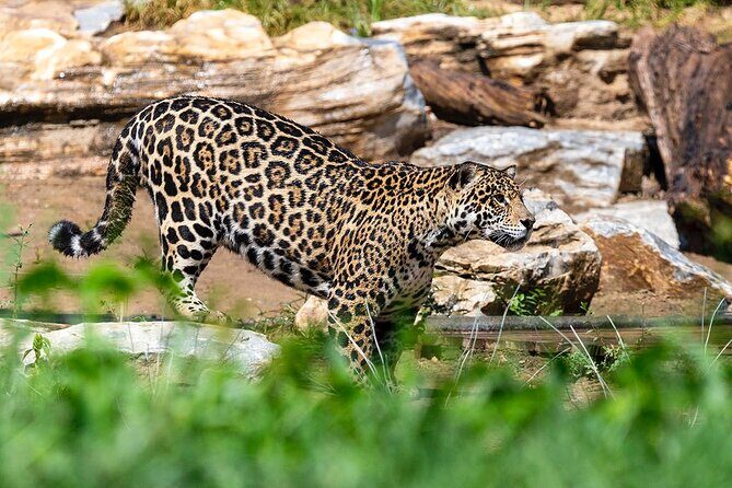 Private Transfer to Beijing Wildlife Park with Self-driving Ride Inside - What Makes This Tour Valuable?
