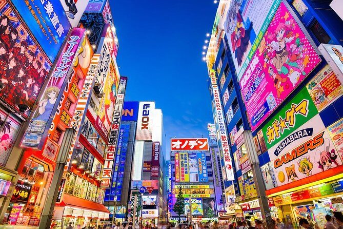 Private Transfer: Tokyo to Haneda Airport HND in Luxury Van - The Driver: Professionalism and Knowledge