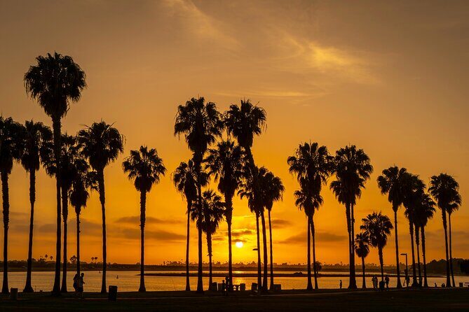 Private Trip Los Angeles, Beverly Hills, Hollywood From Anaheim - Analyzing the Value