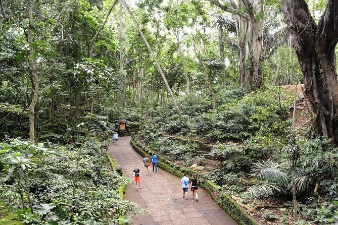 Private Ubud Day Tour - Who Will Love This Tour?