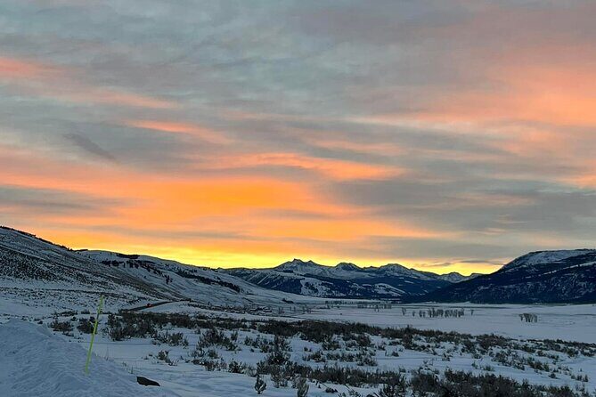 Private/VIP Wildlife Winter Safari of Yellowstone - The Experience: What Sets It Apart