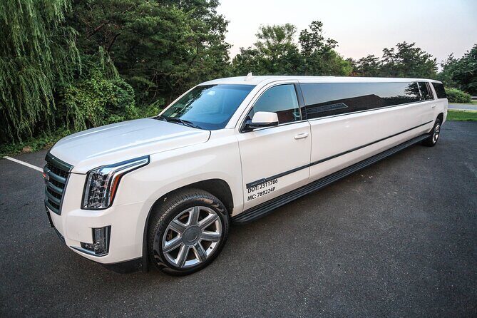 Private Washington DC Moonlight Tours - Transportation and Comfort