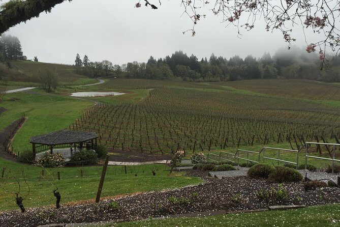 Private - Willamette Valley Wine Tour From Portland (tasting fees included) - Why Travelers Love This Tour