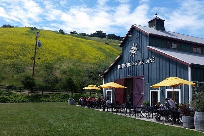 Private Wine Tasting Tour From Santa Ynez, Solvang or Buellton! - Who Will Love This Tour?