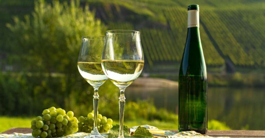 Private Wine Tasting Tour in Munich with a Wine Expert - How the Tour Is Structured and Why It Matters