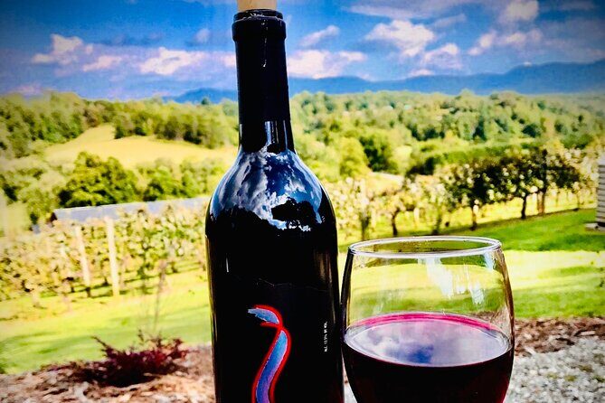 Private Wine Tour with Dine in Black Mountain from Asheville - Who Will Love This Tour?