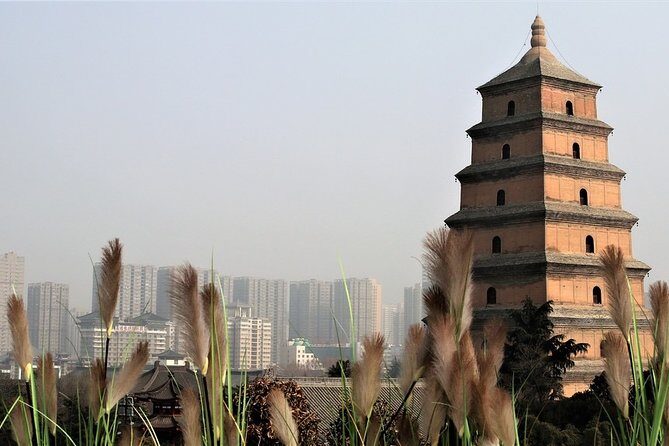 Private Xi'an 2-Day Tour from Shanghai with Deluxe Soft Sleeper Train Experience - Authentic Insights from Travelers