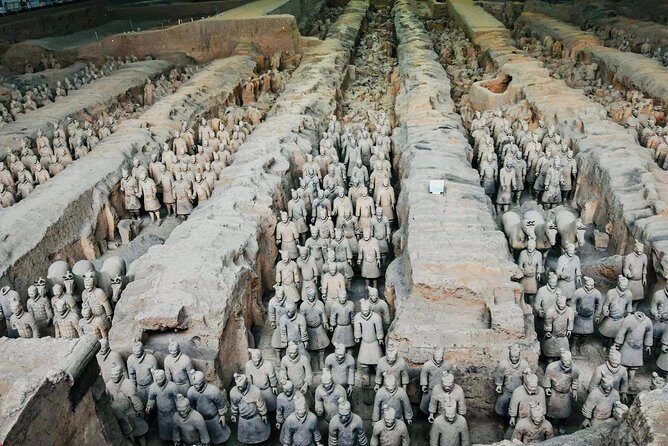 Private Xi'an Driver Service to Terracotta Army - What’s Included and What’s Not