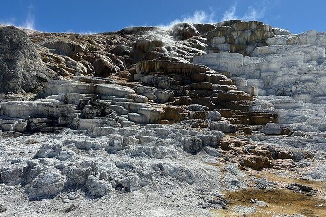Private Yellowstone Park Van Tours from Bozeman and Big Sky - Inside the Park: What to Expect