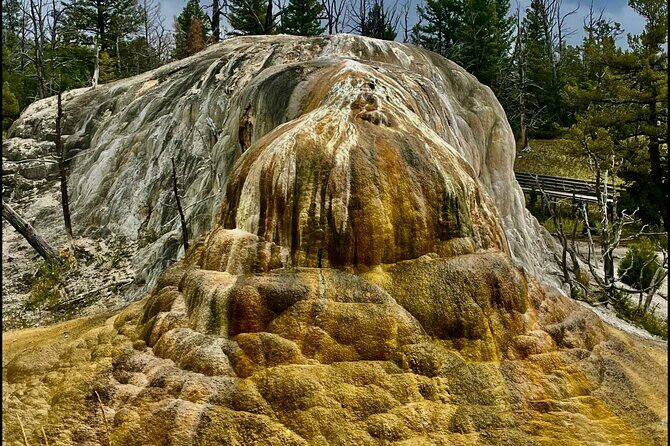 Private Yellowstone Wildlife and Photo Tours Upper Loop Cody Wy - Who Will Love This Tour?