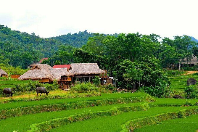 Pu Luong Nature Reserve 2 Days 1 Night Tour from Hanoi - The Experience’s Pros and Cons