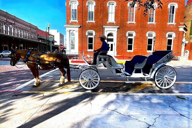 Public Group Historical Carriage Tour of Galveston - The Sum Up