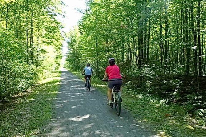 Public | Small Group | Nature & Wildlife Tour Rail Trail| 2-2.5hr - The Review in Perspective