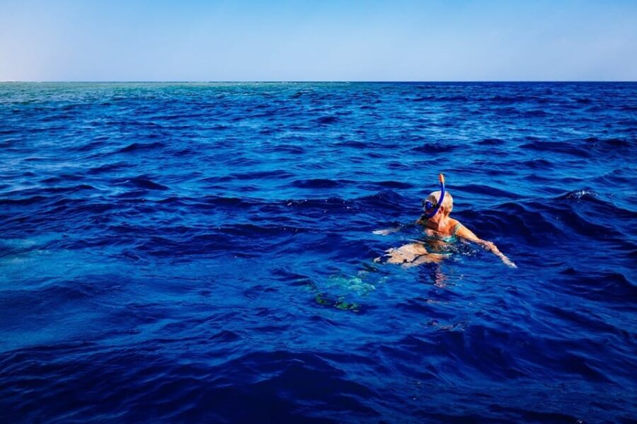 Pula: 2.5-Hour Snorkelling Experience - Authentic Experiences and Traveler Insights