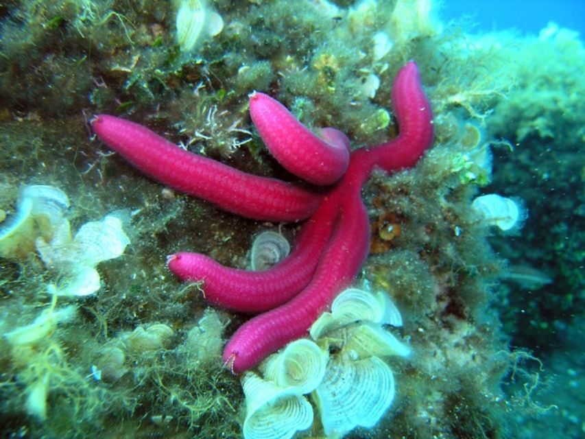 Pula: Bike Tour of Ancient Pula & Aquatic Adventures - The Aquatic Adventure Begins