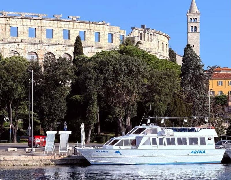 Pula: Brijuni National Park Dolphin Watching Tour w/Dinner - The Itinerary: What You Can Expect