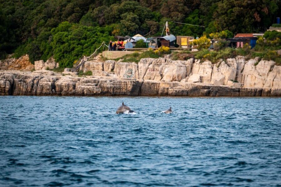 Pula: Brijuni National Park Sunset, Dolphins & Dinner Cruise - Why This Tour Is Worth Considering