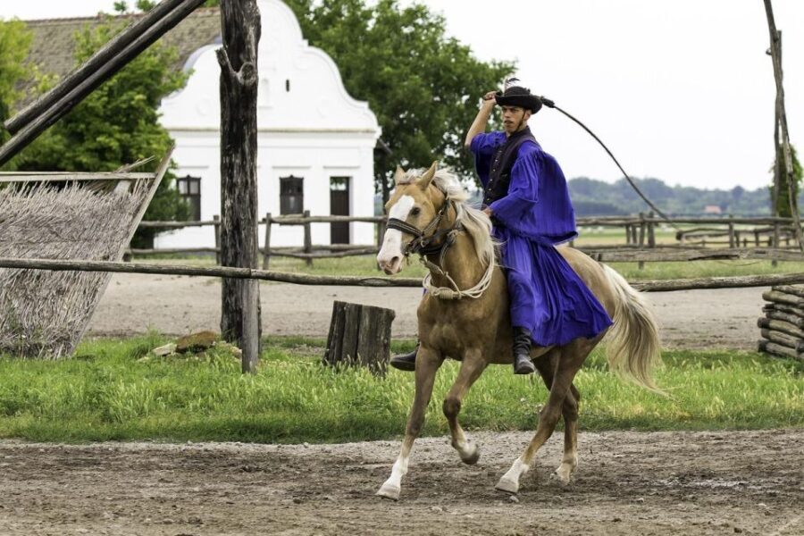 Puszta Tour and Horse Show - Traveling to the Puszta: The Heart of Hungarian Horse Culture