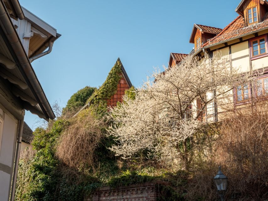 Quedlinburg: Guided City Highlights Walking Tour - The Value of a Guided Tour in Quedlinburg