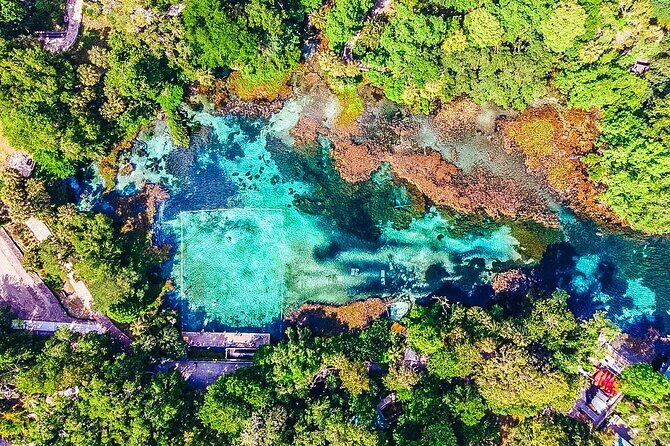 Rainbow Springs: Clear Kayak & Snorkel Eco Tour - The Sum Up: Why You Should Consider This Tour