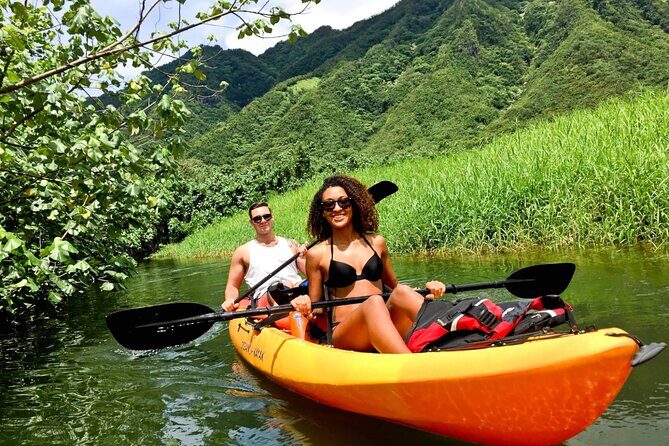 Rainforest River Kayak Self-Guided Kayak Tour - What To Expect