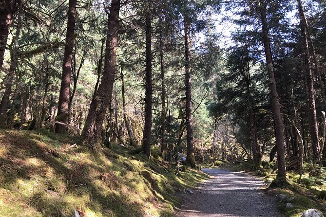 Rainforest & Waterfalls Trek - The Value: Price, Duration, and Experience