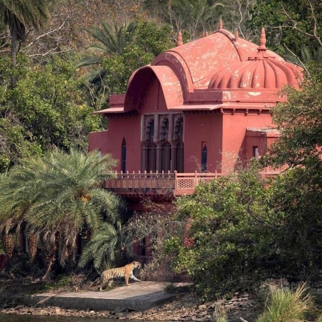Ranthambhore: Ranthambhore Tiger Reserve Booking - Exploring Ranthambore National Park: What You Can Expect