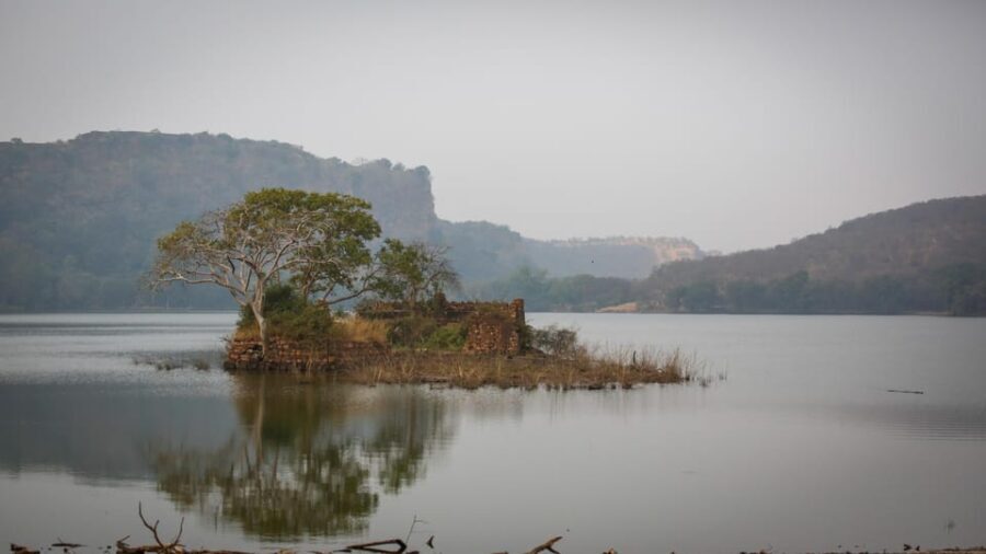 Ranthambore: Shared Tiger Safari in Canter or Gypsy - Who Would Love This Safari?