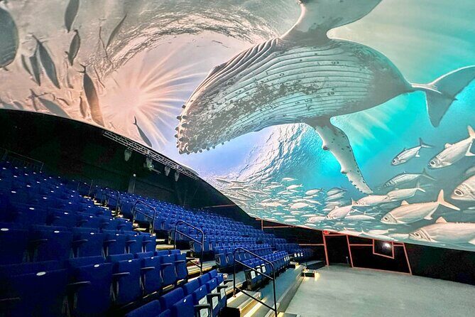 Raptor Encounters and Immersive Dome Experience - Final Thoughts: Who Will Find This Tour Most Valuable?