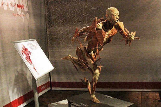 Real Bodies at Horseshoe Las Vegas - Why This Tour Offers Good Value